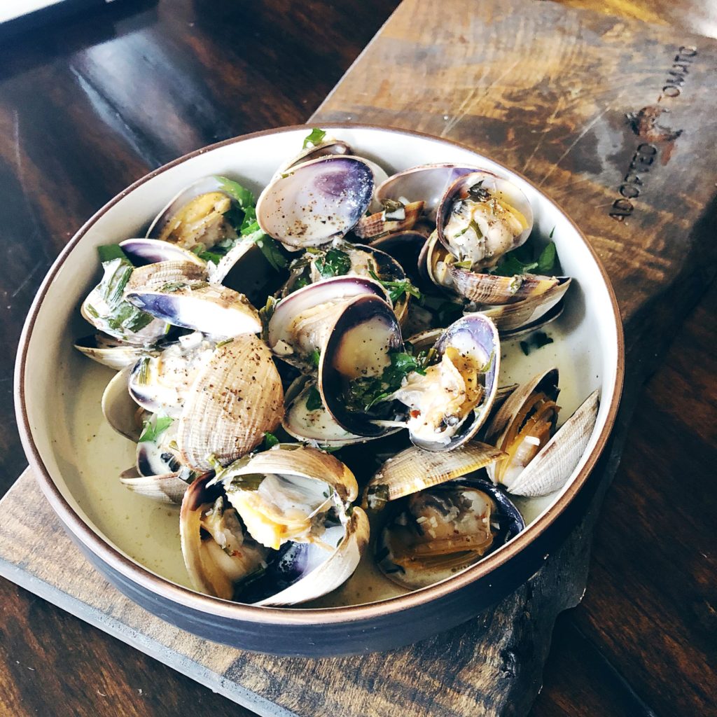 Steamed Clams in White Wine Cream Sauce • Adopted Tomato Kitchen